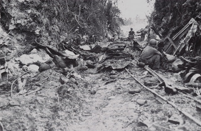 The Invasion of Angaur | Buk's Historical Ad Hockery