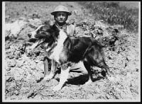 The War of the Stray Dog | Buk's Historical Ad Hockery